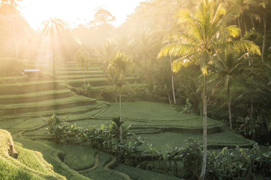 Books Set In Indonesia: Indonesian Novels - Tale Away